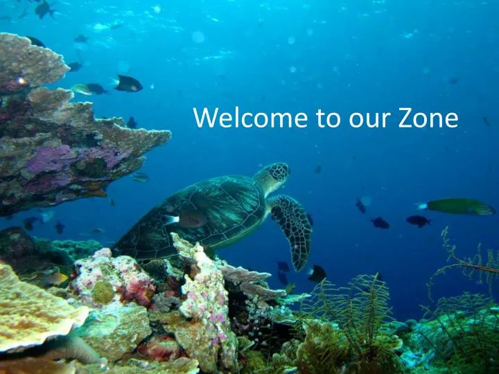 PPT - Welcome to our Zone PowerPoint Presentation, free download - ID ...