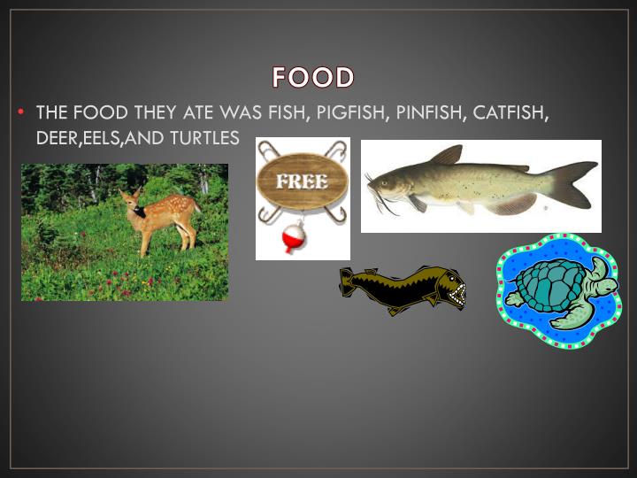 PPT - CALUSA INDIANS PowerPoint Presentation - ID:1927351