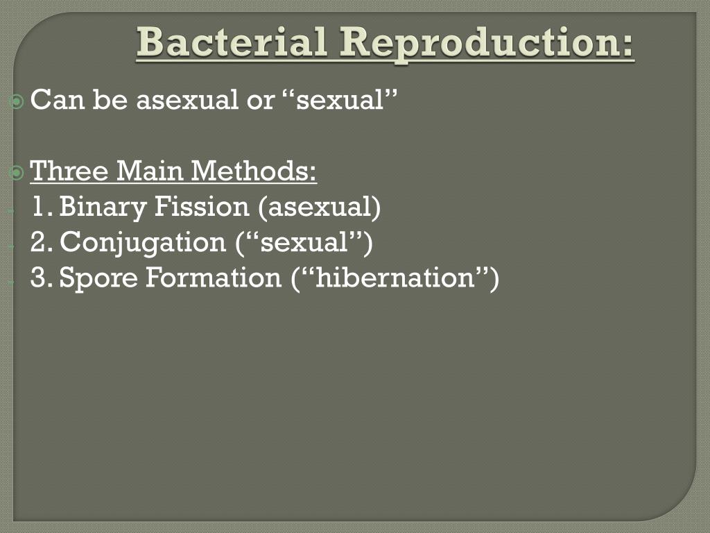 Ppt Bacterial Reproductive Methods Powerpoint Presentation Free