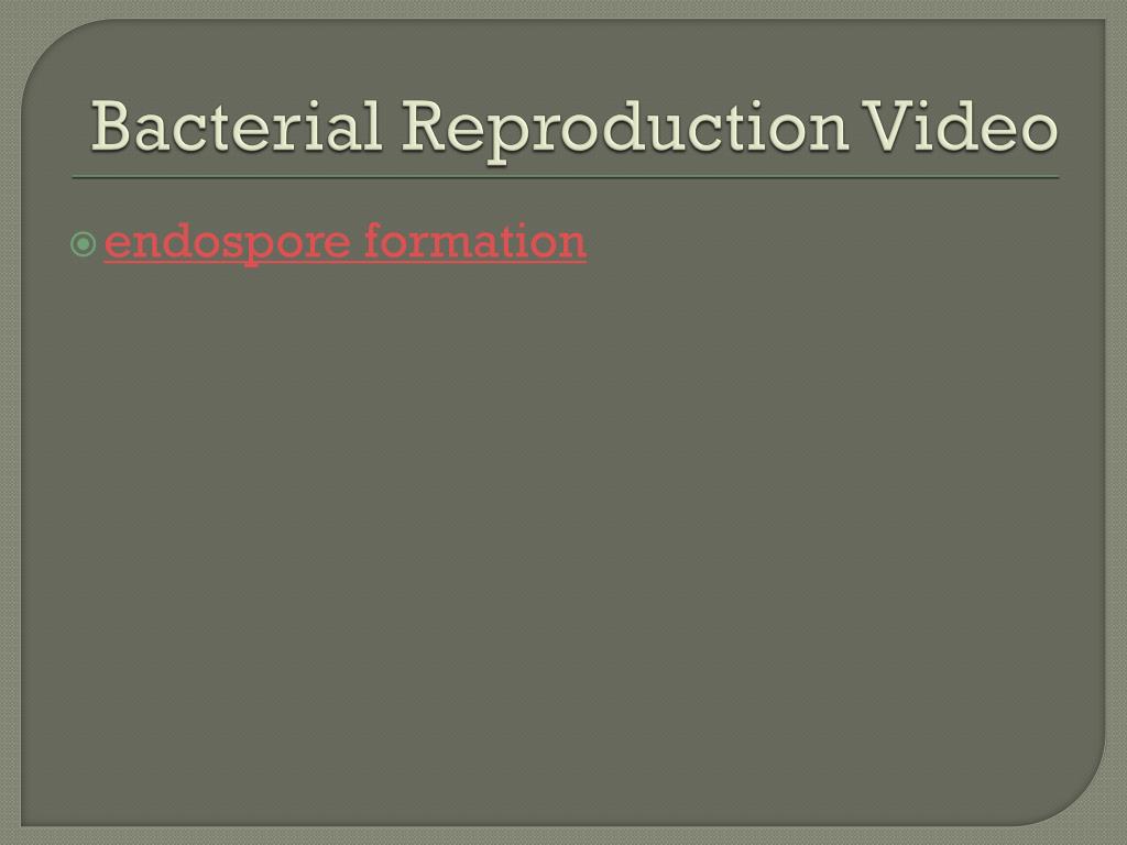 Ppt Bacterial Reproductive Methods Powerpoint Presentation Free