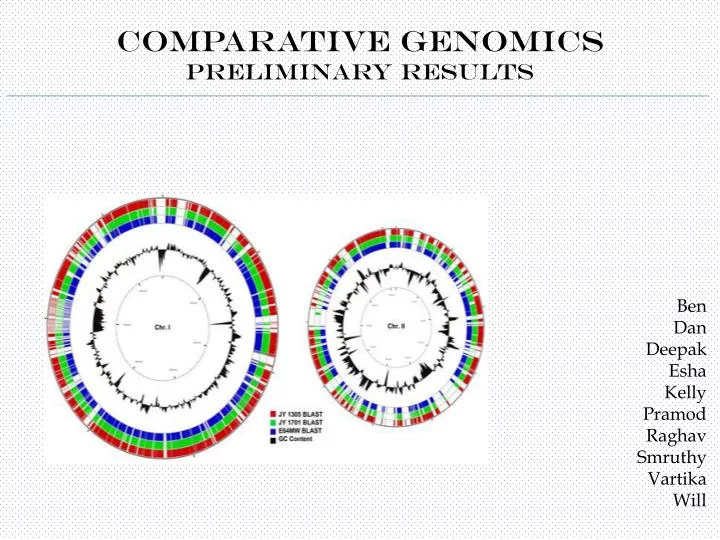 PPT - Comparative Genomics Preliminary Results PowerPoint Presentation ...