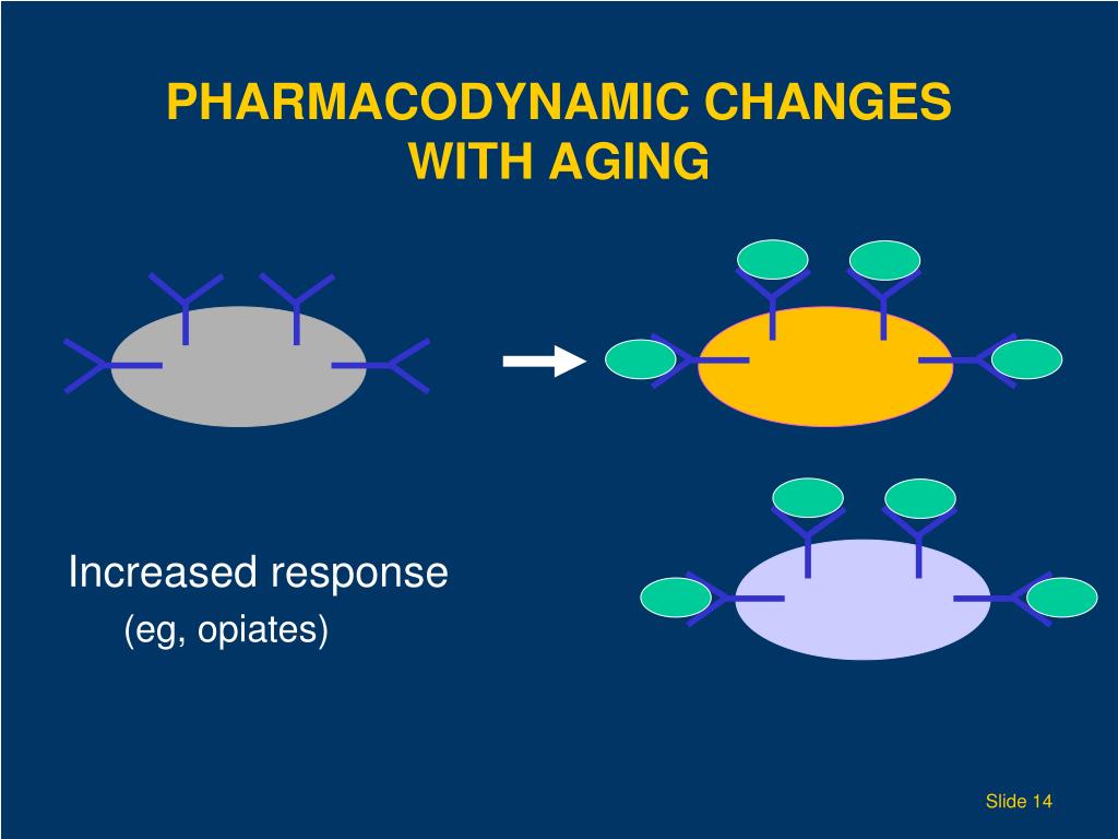 PPT - THE AMERICAN GERIATRICS SOCIETY Geriatrics Health Professionals ...