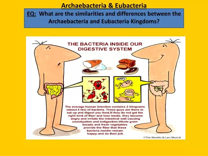 PPT - Characteristics of Bacteria PowerPoint Presentation, free ...
