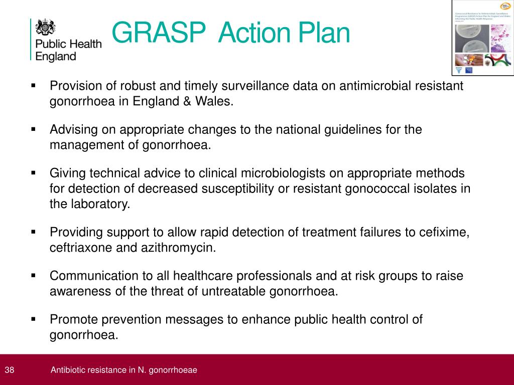 PPT - Antibiotic resistance in Neisseria gonorrhoeae PowerPoint ...