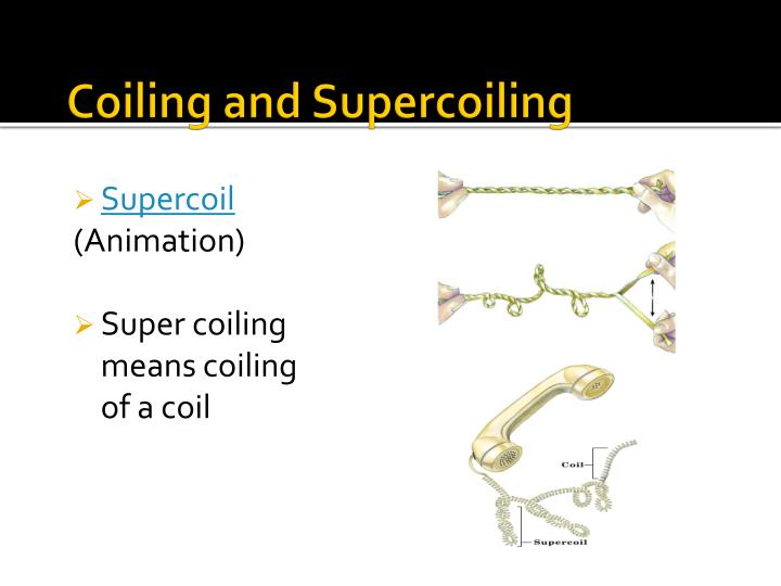 PPT - DNA Structure and basic properties PowerPoint Presentation - ID ...