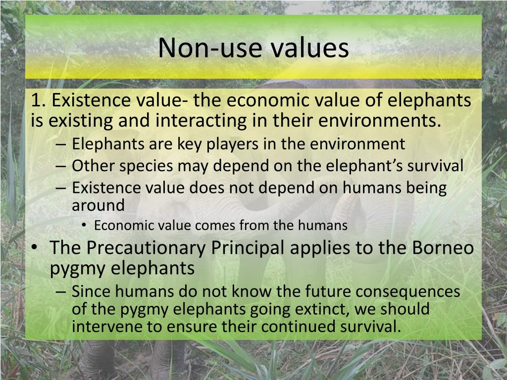 PPT - Ecotourism, Pygmy Elephant Reserves and Oil Palm Plantations in ...