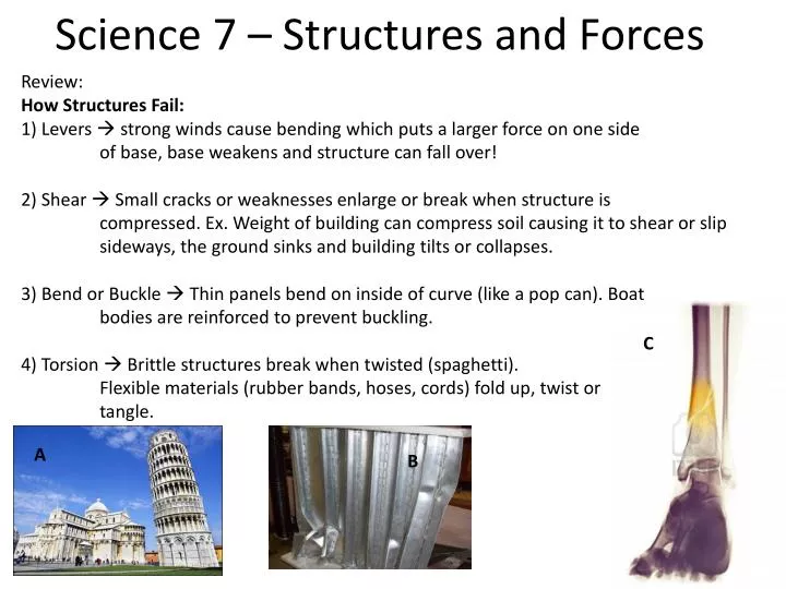 PPT - Science 7 – Structures and Forces PowerPoint Presentation, free ...