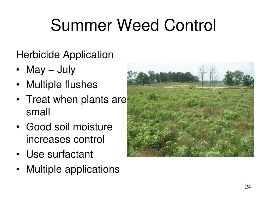 PPT - Blair Griffin University of Arkansas Cooperative Extension ...