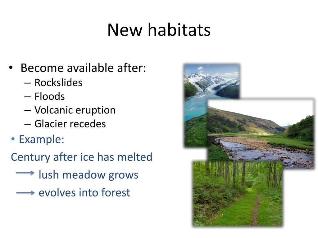 PPT - Biotic=Living things. Eg : Humans, animals, trees, fish, flowers ...