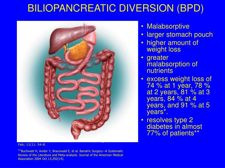 PPT - Mechanism of Diabetes remission after Bariatric Surgery ...