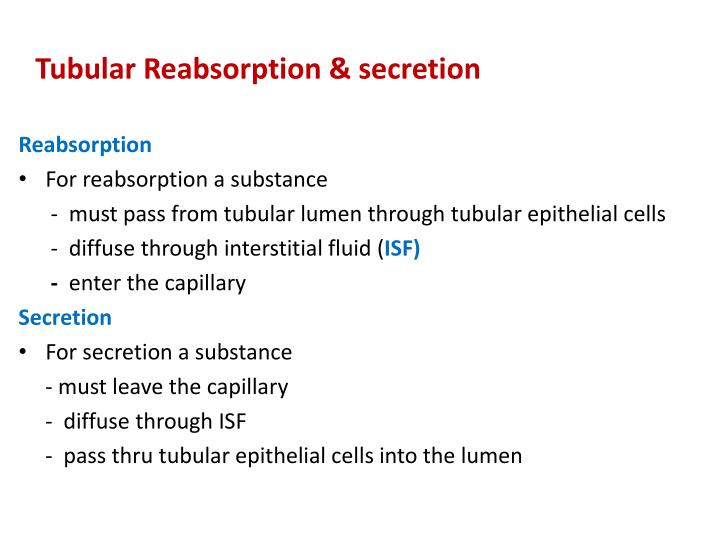 PPT - Urinary System L 2, 3 Tubular Reabsorption & secretion PowerPoint ...