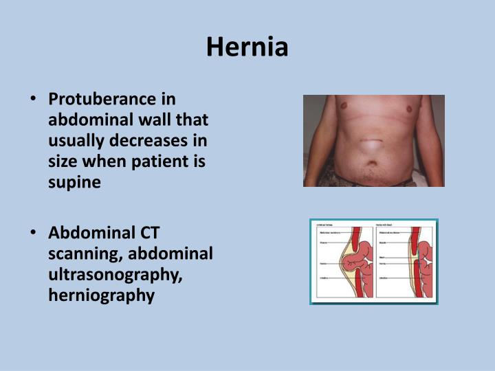 PPT - Who are they? PowerPoint Presentation - ID:1930130