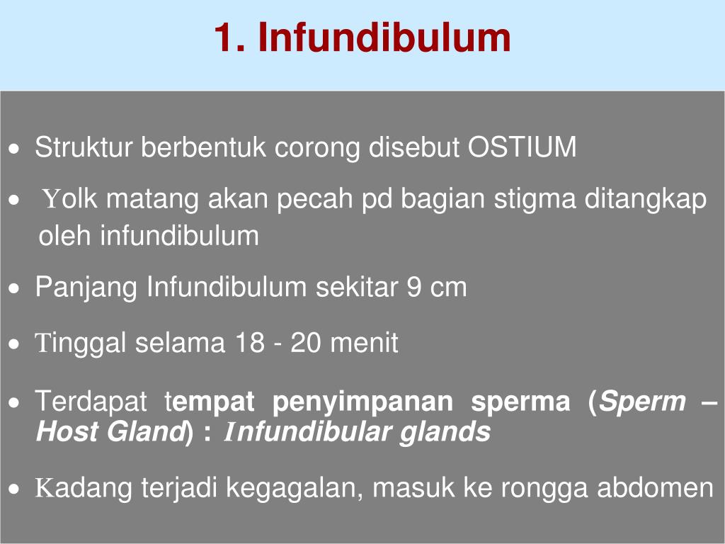 PPT - PENERAPAN ANATOMI DAN PHYSIOLOGI ALAT REPRODUKSI UNGGAS BETINA ...