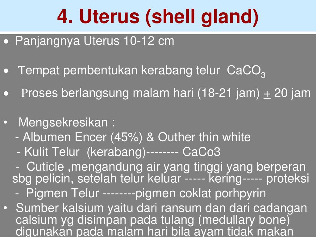 PPT - PENERAPAN ANATOMI DAN PHYSIOLOGI ALAT REPRODUKSI UNGGAS BETINA ...