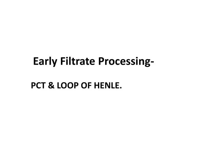 PPT - Early Filtrate Processing- PCT & LOOP OF HENLE. PowerPoint ...