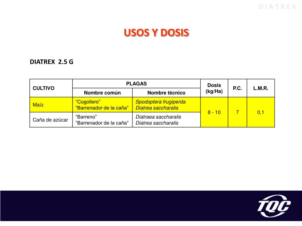PPT - PORTAFOLIO DE MAIZ ESTRATEGIA FITOSANITARIA PowerPoint ...