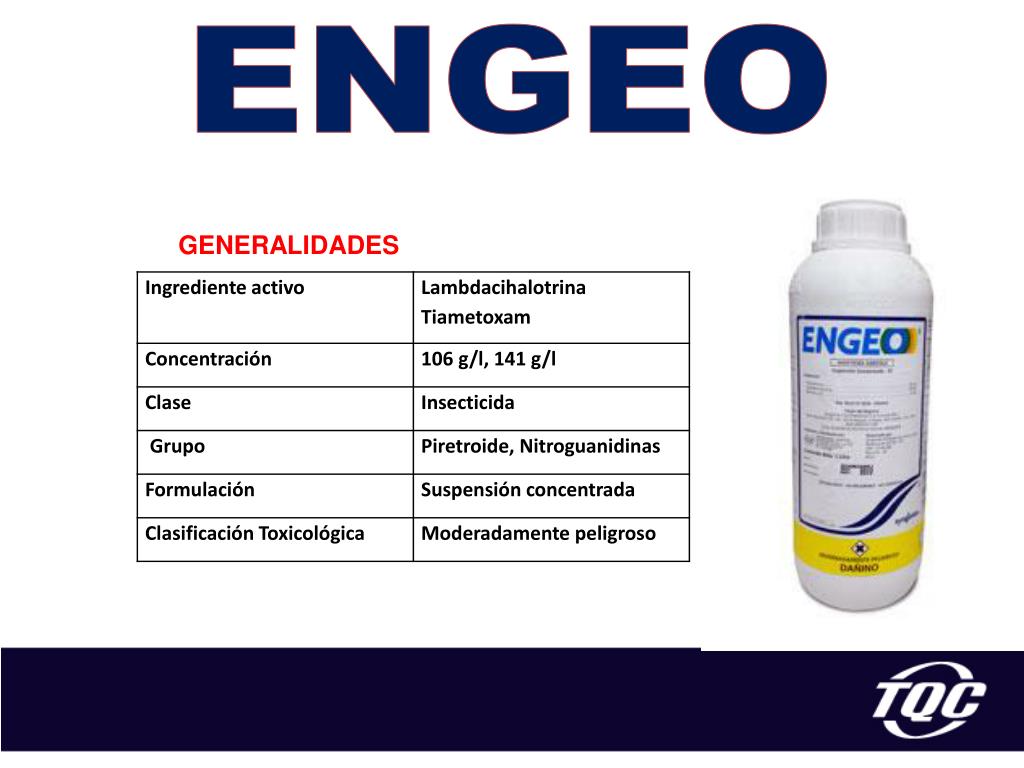 PPT - PORTAFOLIO DE MAIZ ESTRATEGIA FITOSANITARIA PowerPoint ...
