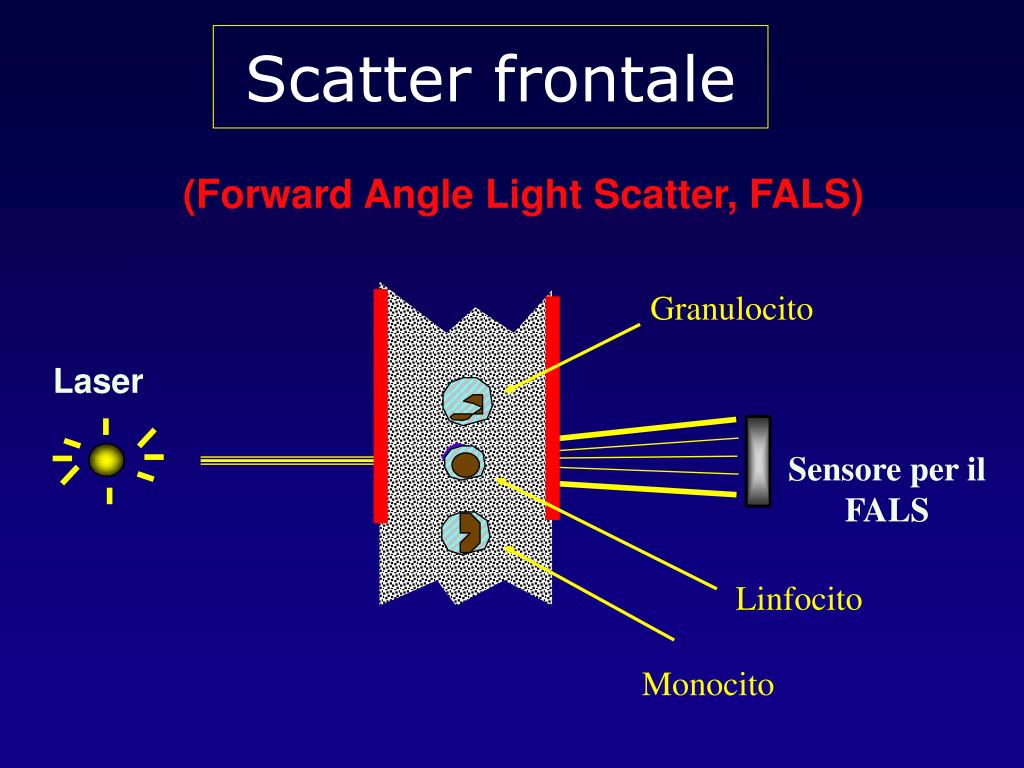 PPT - Misurazione e uso di anticorpi Misurazione delle funzioni dei ...