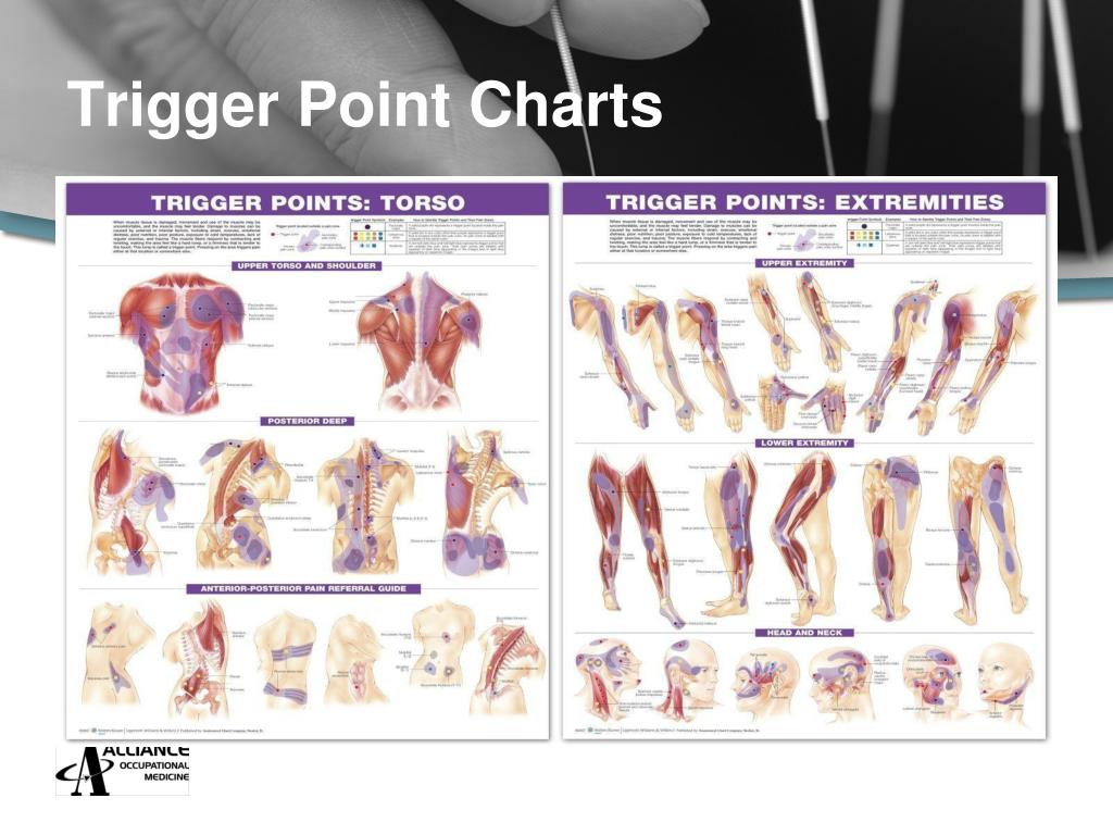 PPT - How Acupuncture Plays a Role in Occupational Medicine PowerPoint ...