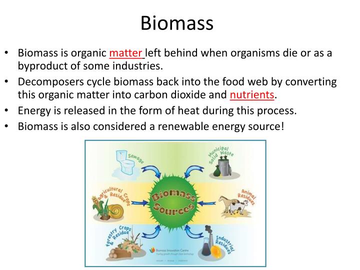 PPT - The Cycling of Matter & Energy PowerPoint Presentation - ID:1930875