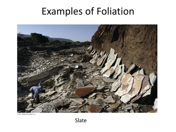 PPT - Examples of Foliation PowerPoint Presentation - ID:1931079