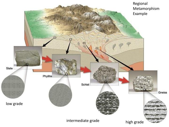 PPT - Examples of Foliation PowerPoint Presentation - ID:1931079