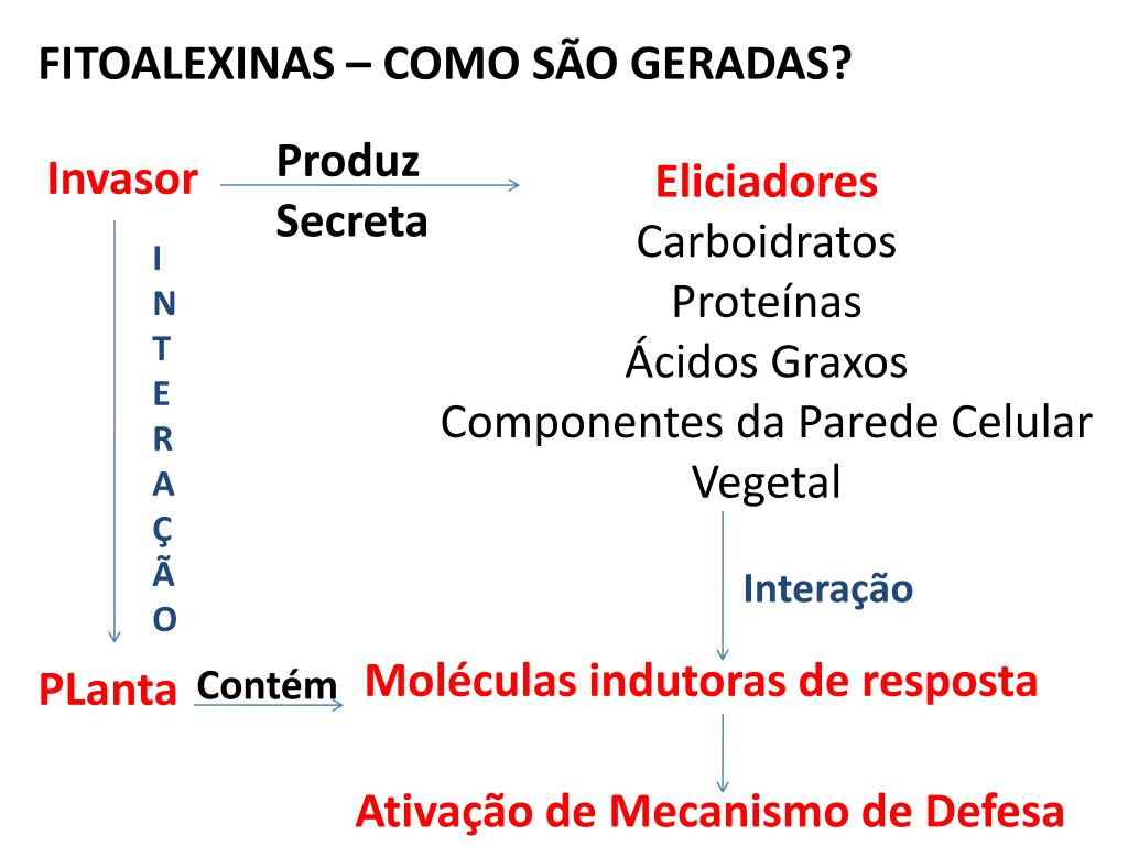PPT - Mecanismo de Agressão e Defesa nos Sistemas Planta-Patógeno ...
