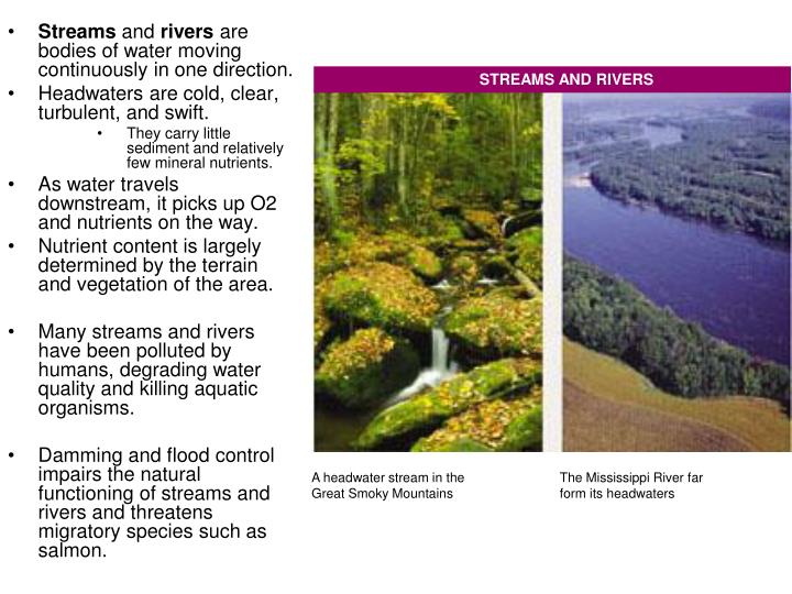 PPT - 50.3 Abiotic and biotic factors influence the structure and ...