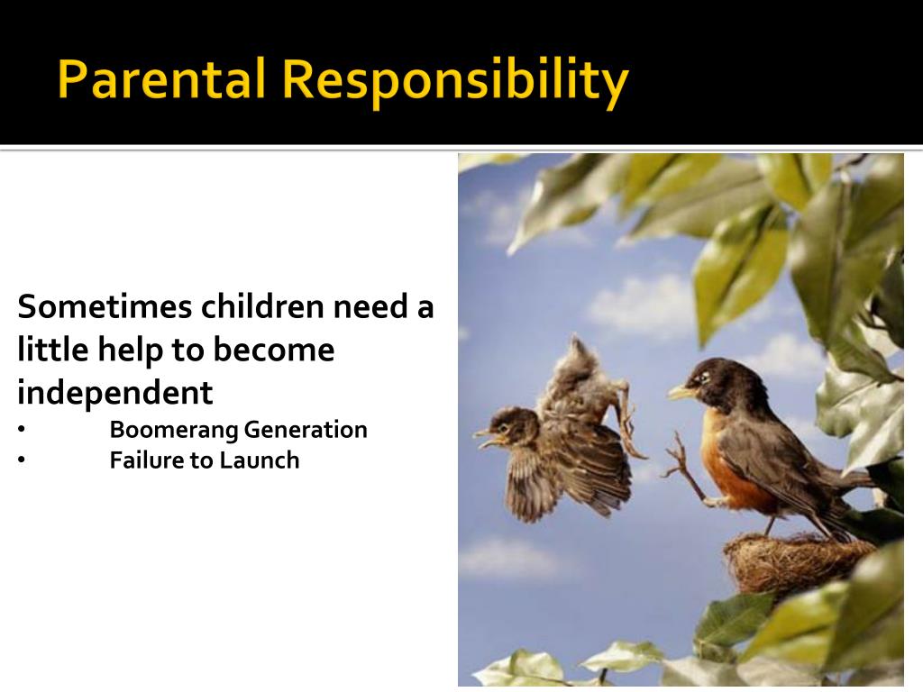 PPT - The Education of Our Children PowerPoint Presentation, free ...