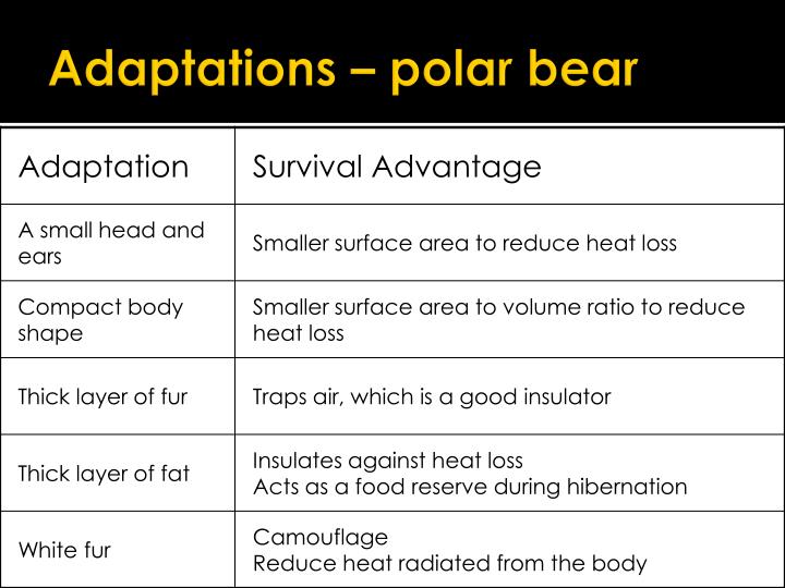 PPT - Interdependence and adaptation PowerPoint Presentation - ID:1931276