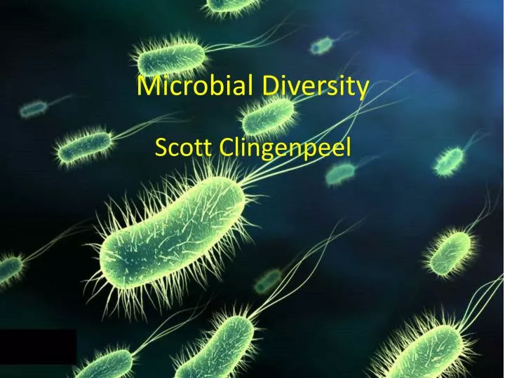 PPT - Microbial Diversity PowerPoint Presentation, free download - ID ...
