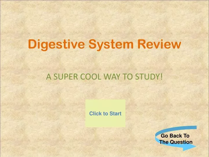 PPT - Digestive System Review PowerPoint Presentation, free download ...