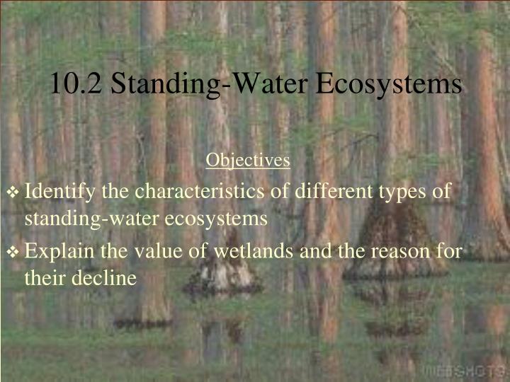 PPT - Freshwater Biomes PowerPoint Presentation - ID:1931958