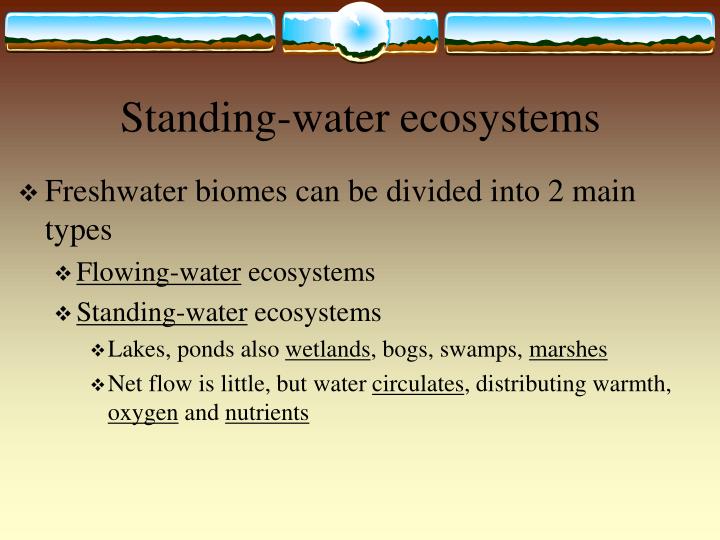 PPT - Freshwater Biomes PowerPoint Presentation - ID:1931958