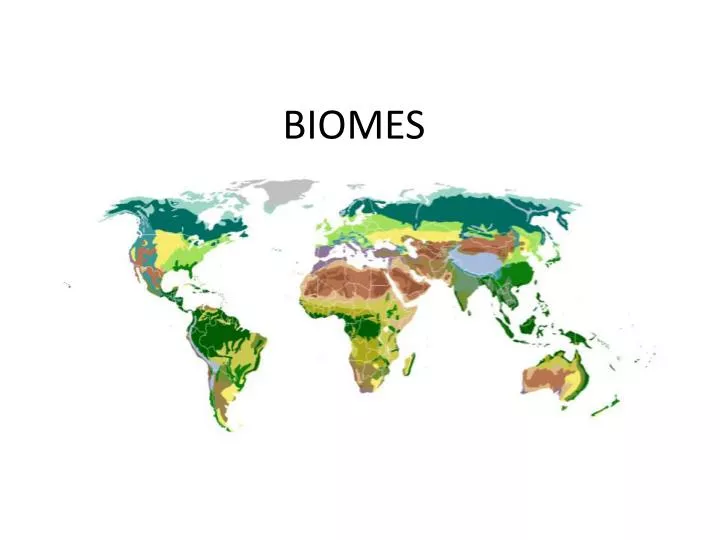 PPT - BIOMES PowerPoint Presentation, free download - ID:1932292