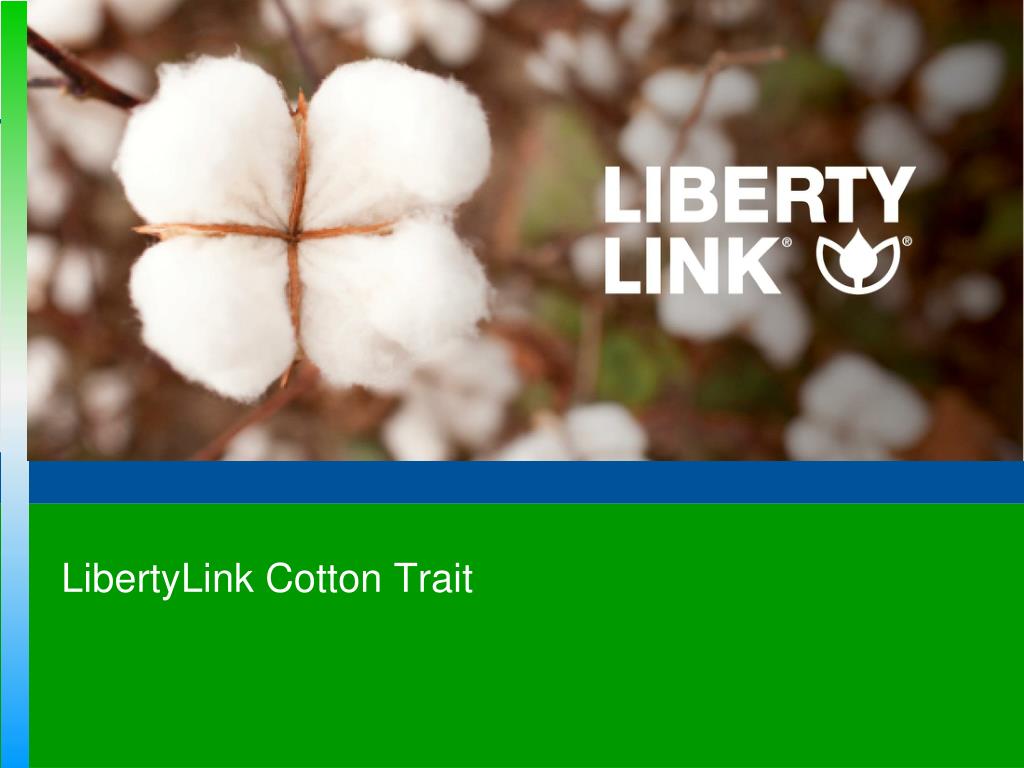 PPT - LibertyLink® Trait and Liberty® Herbicide PowerPoint Presentation ...