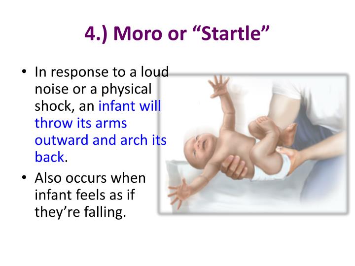 PPT - Developmental Psychology PowerPoint Presentation - ID:1933882