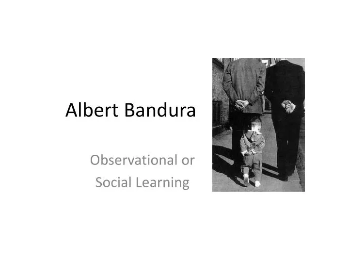 PPT - Albert Bandura PowerPoint Presentation, free download - ID:1934161