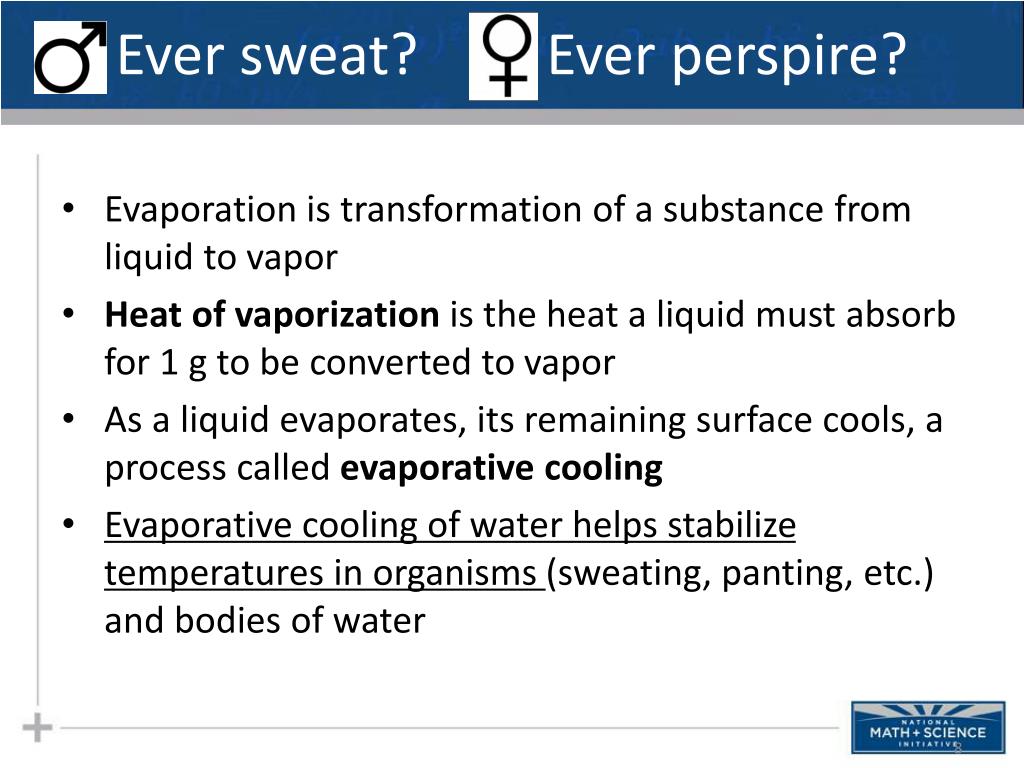 PPT - Biochemistry Water and the Fitness of the Environment PowerPoint ...