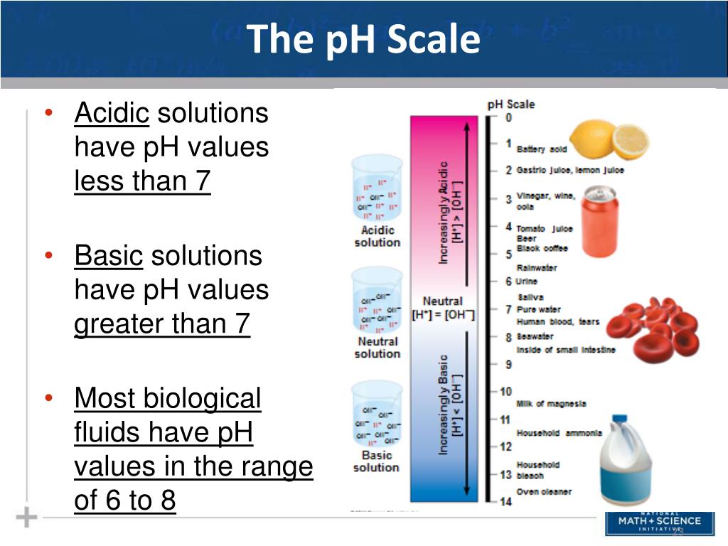PPT - Biochemistry Water and the Fitness of the Environment PowerPoint ...