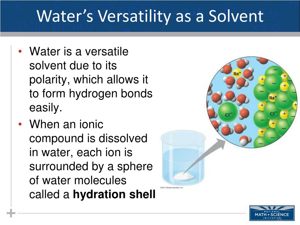 PPT - Biochemistry Water and the Fitness of the Environment PowerPoint ...
