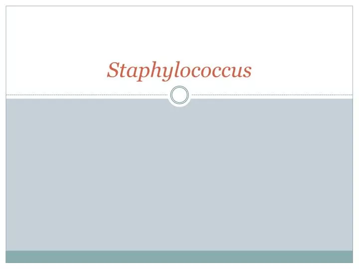 PPT - Staphylococcus PowerPoint Presentation, free download - ID:1934946