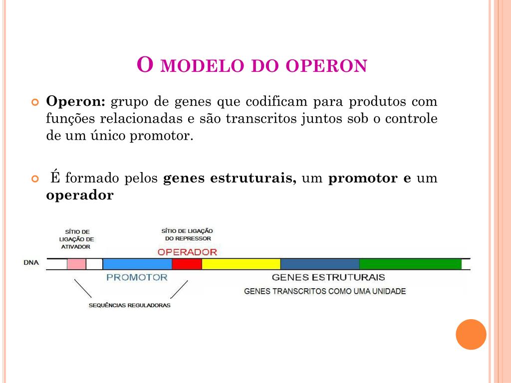 PPT - Regulação da Expressão Gênica em Procariotos PowerPoint ...