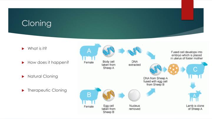 PPT - Has society taken technology too far? PowerPoint Presentation ...