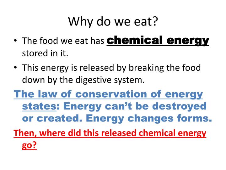 PPT - Mechanical vs. chemical digestion PowerPoint Presentation - ID ...