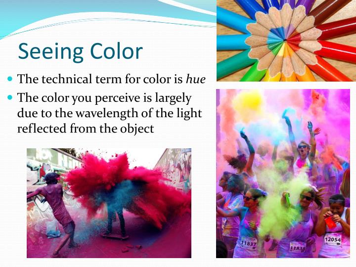 PPT - Ch 6: The Visual System pt 3 PowerPoint Presentation - ID:1936306