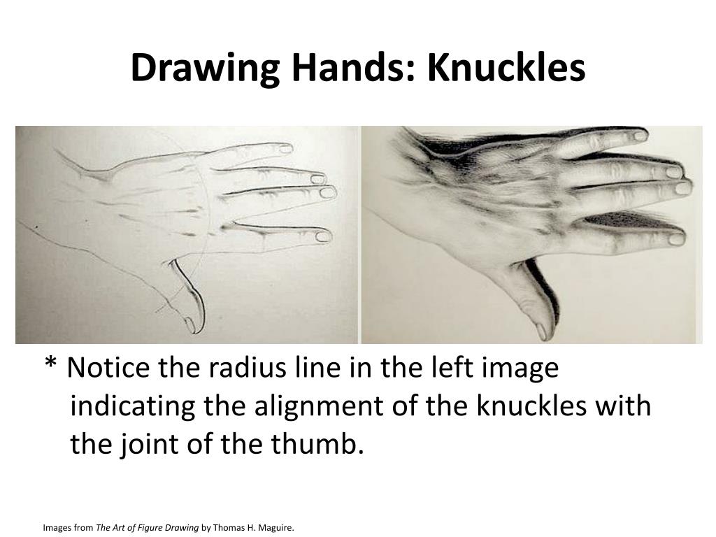 PPT - IAT 208 Drawing as Inquiry Spring 2013 PowerPoint Presentation ...