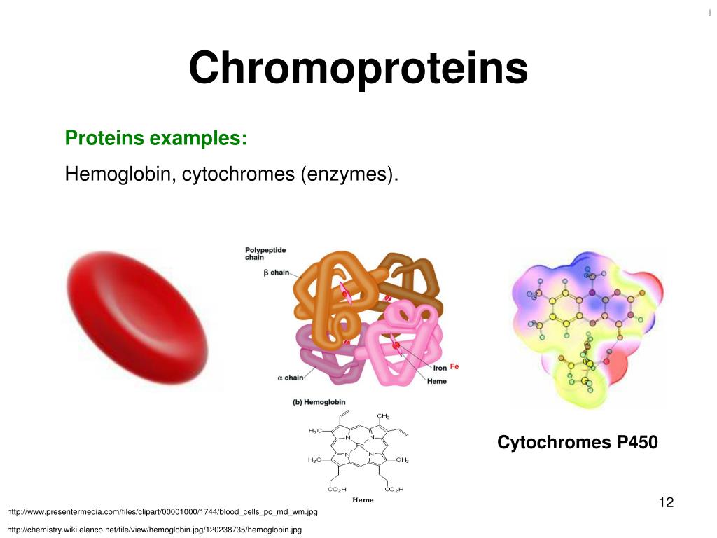PPT - Structure & Classification of Proteins PowerPoint Presentation ... PPT - Structure & Classification of Proteins PowerPoint Presentation ...