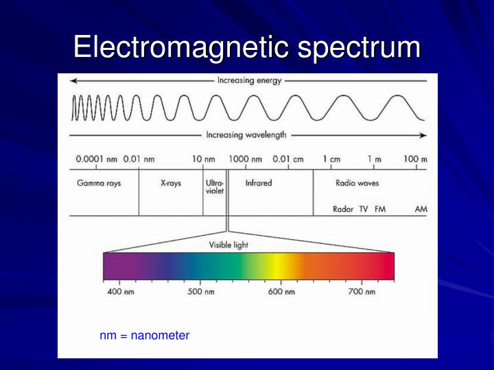 PPT - The visual system PowerPoint Presentation - ID:1936654