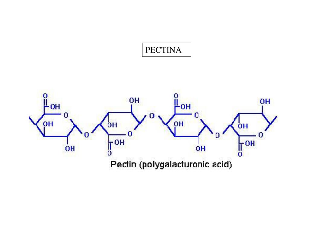 PPT - Prof. João Darós Malaquias Júnior Zootecnista PowerPoint ...